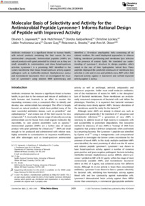 Molecular basis of selectivity and activity for the antimicrobial peptide Lynronne‐1 informs ...
